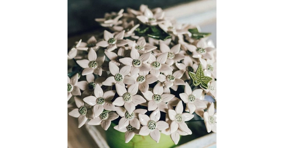 Havasi gyopár | Csicsó Kerámia